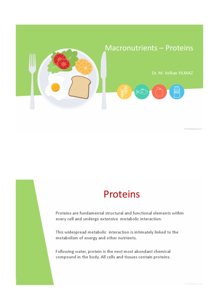 Macronutrients - Proteins | PDF | Proteins | Metabolism