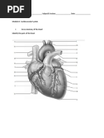 Common Bone Markings | PDF