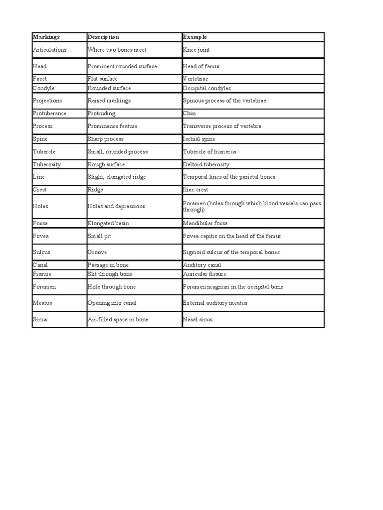 Bone Markings Guide | PDF