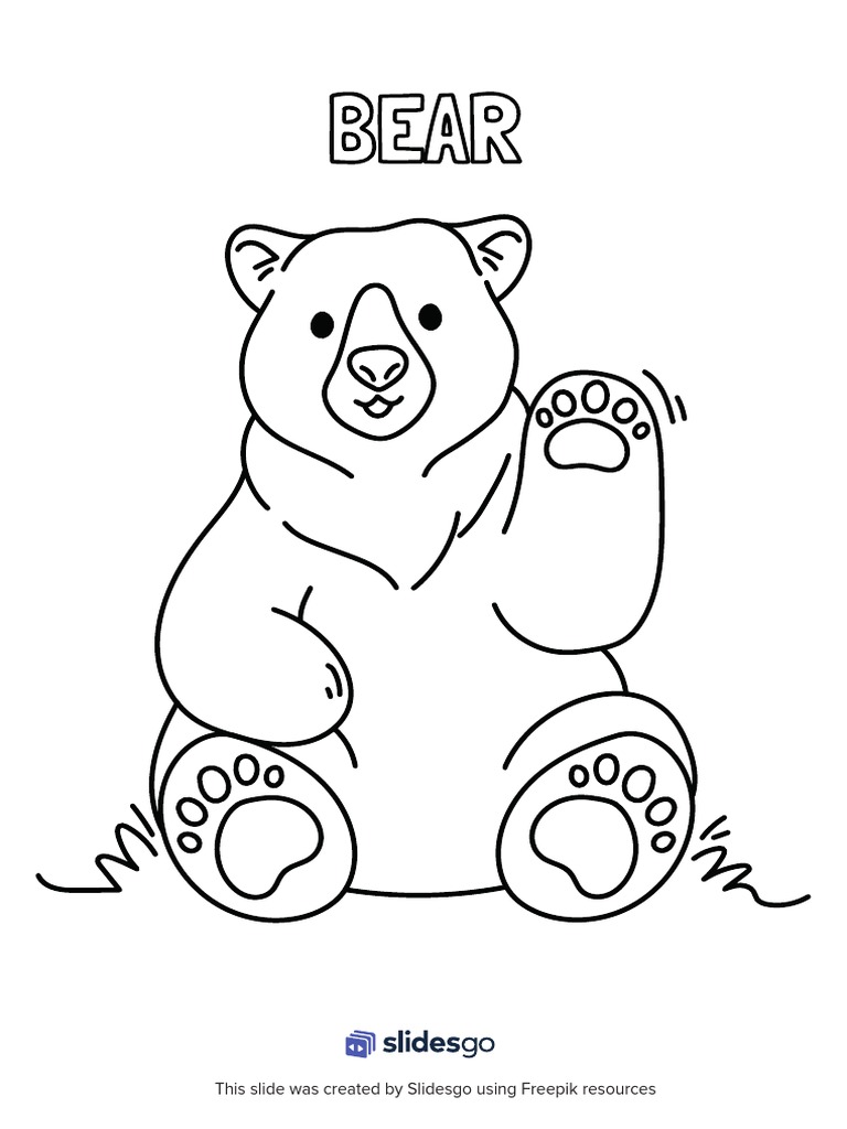 Bear Overview and Facts | PDF