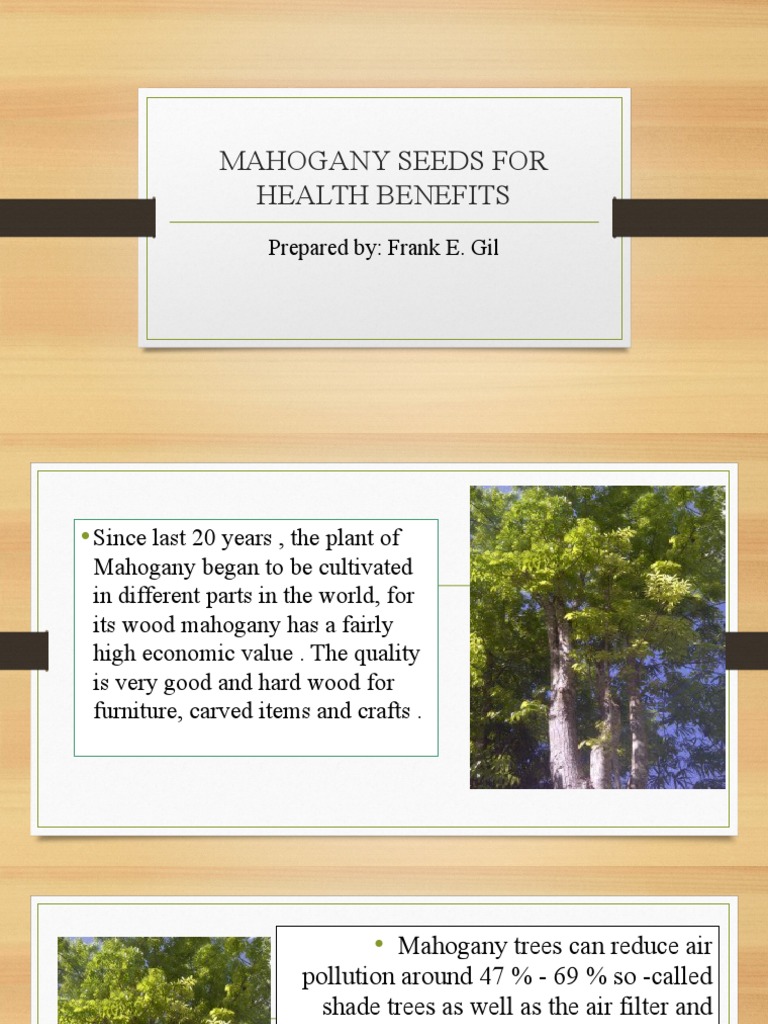 Mahogany Seeds For Health Benefits | PDF | Blood | Blood Vessel