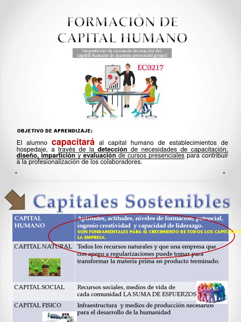 Formacion de Capital Humano | PDF | Aprendizaje | Gestión de recursos humanos