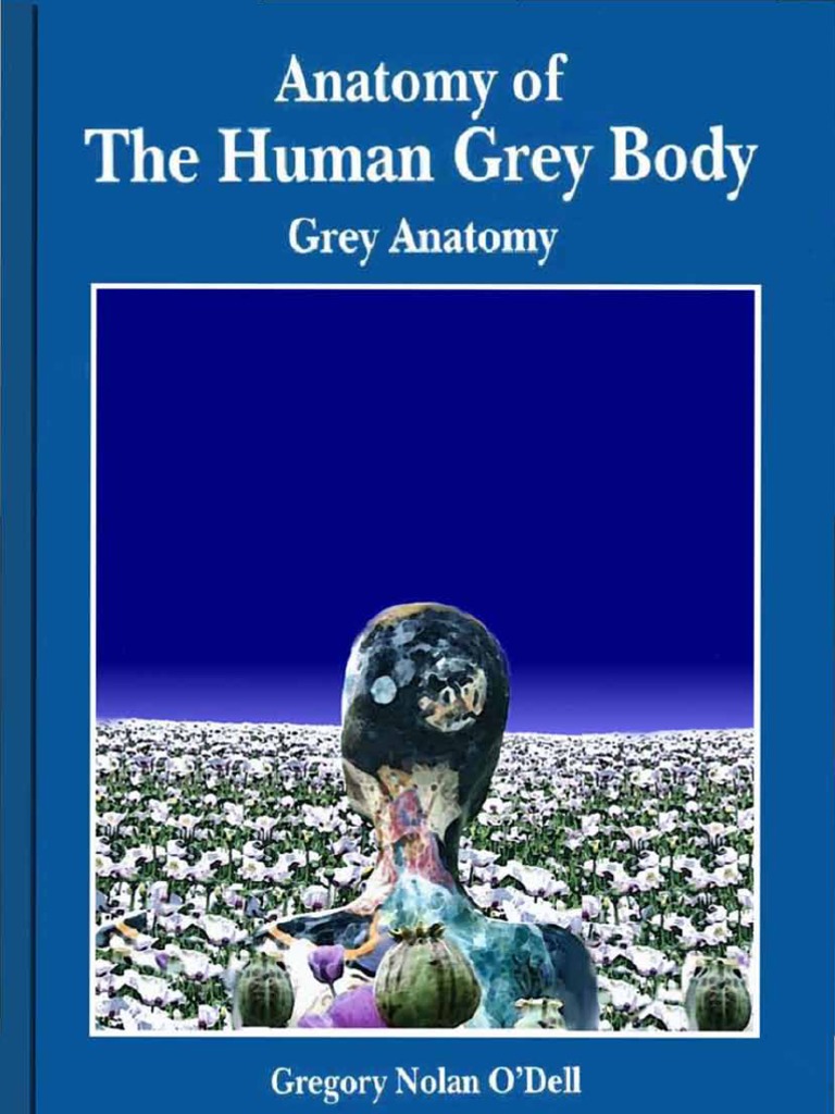 Anatomy of The Human Grey Body: Grey Anatomy | PDF | Plane (Esotericism ...
