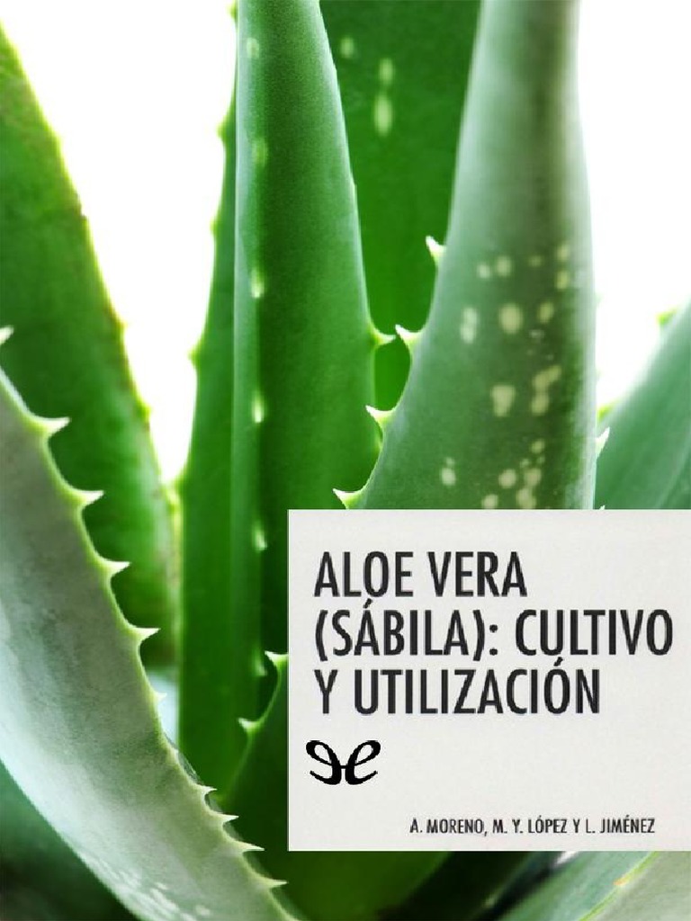 Aloe Vera (Sabila) - Cultivo y Utilizacion | PDF | Agricultura | Flores