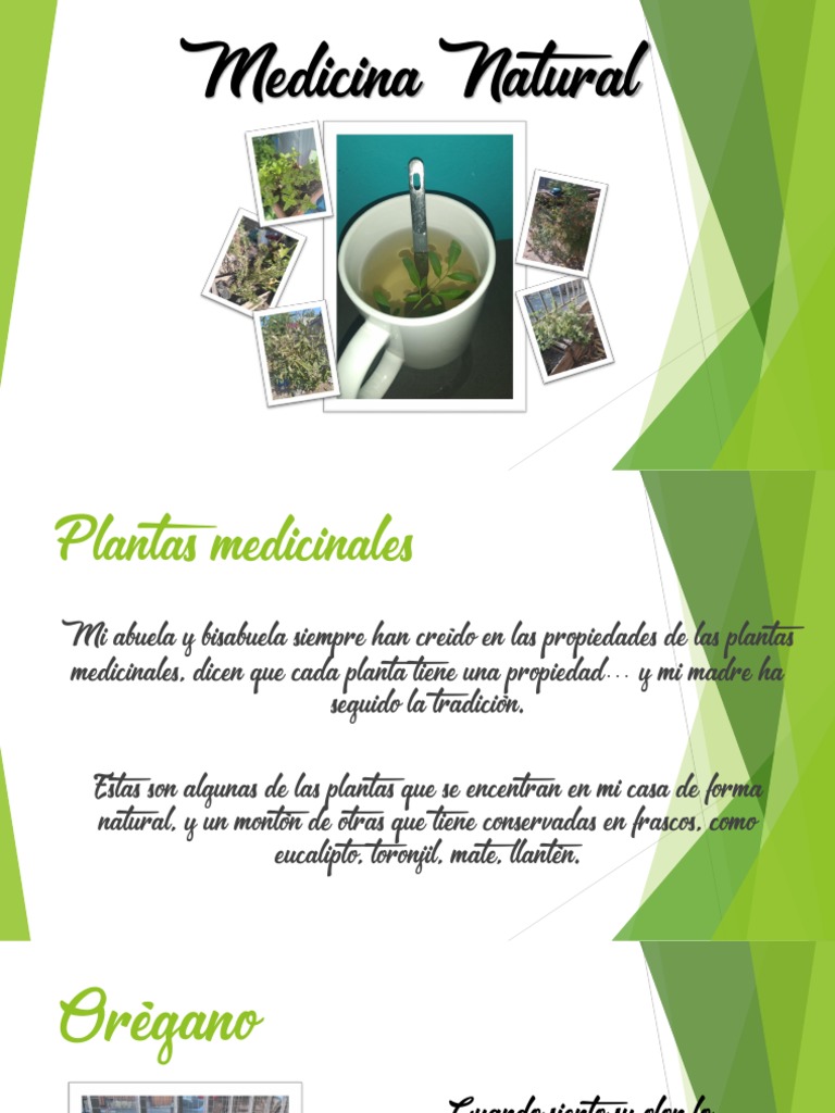 Plantas Medicinales Pdf