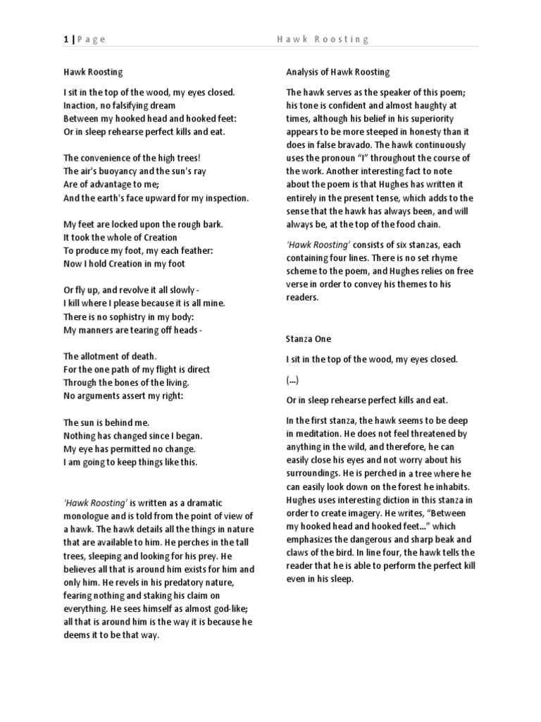 A Divine Perspective: The Hawk's God-like Sense of Superiority and ...