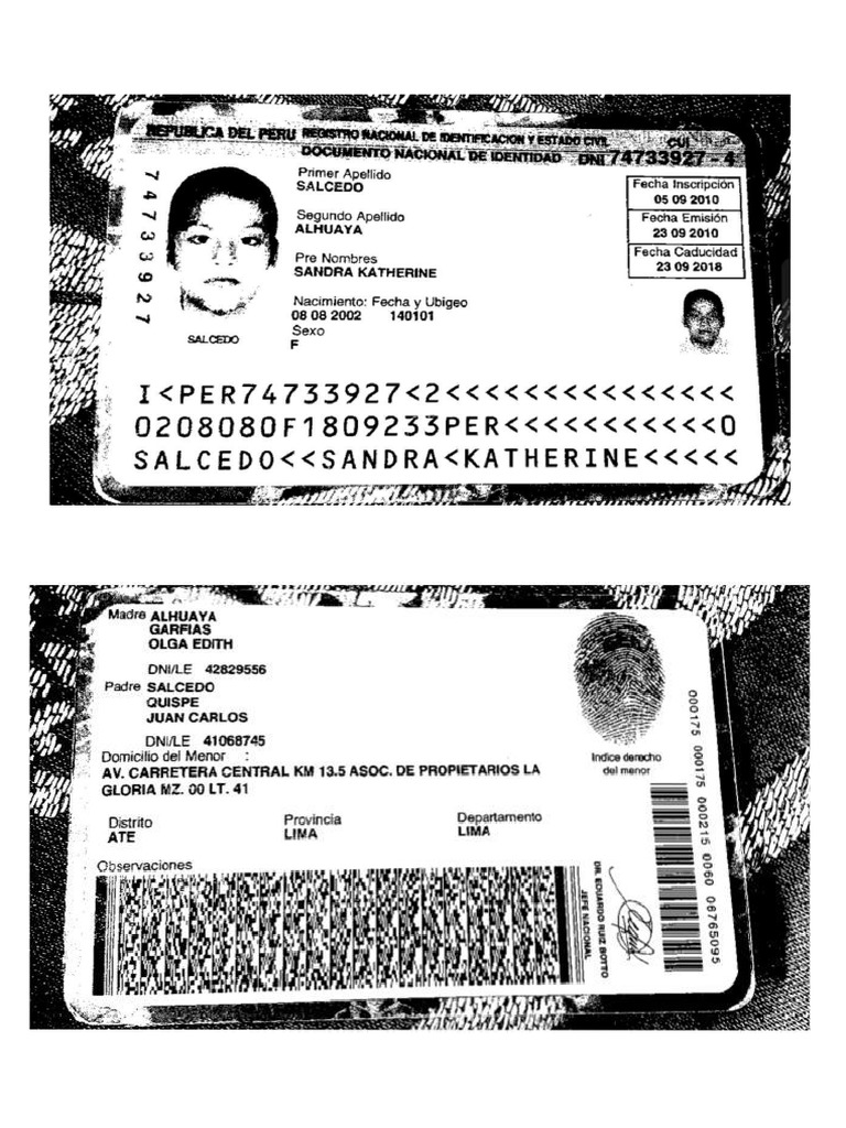 Documento Sandra | PDF