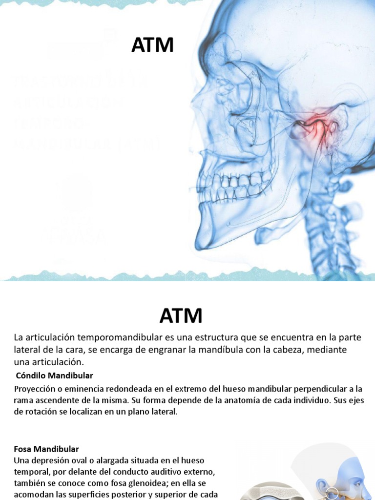 Atm | PDF | Articulación | Anatomía humana
