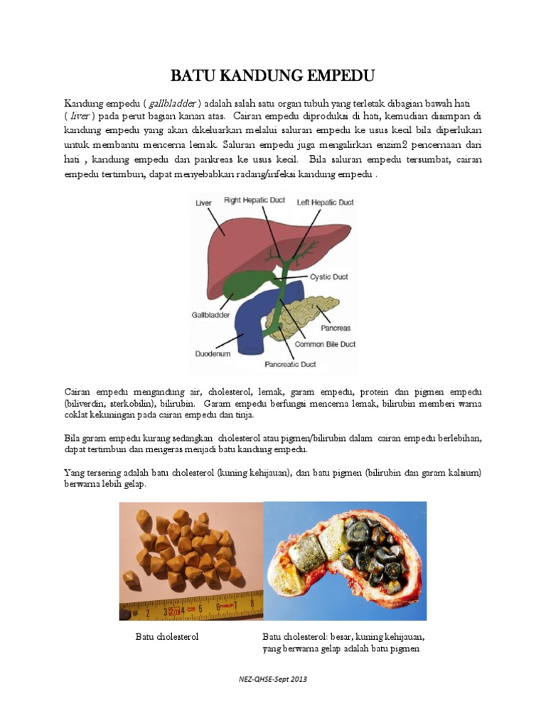 Kampanye - BATU KANDUNG EMPEDU | PDF | Kesehatan Holistik
