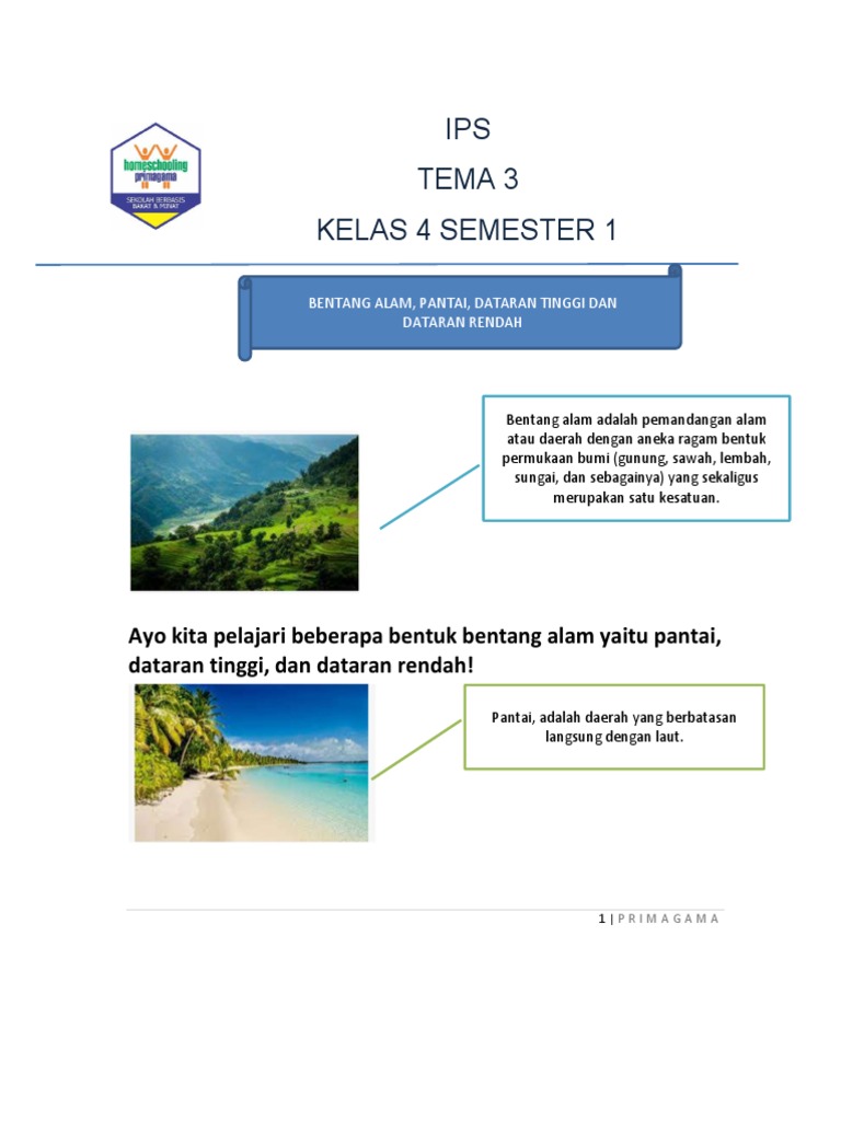 Ips Tema 3 | PDF