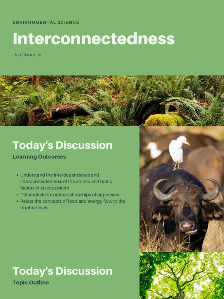 INTERCONNECTEDNESS | PDF | Ecosystem | Food Web