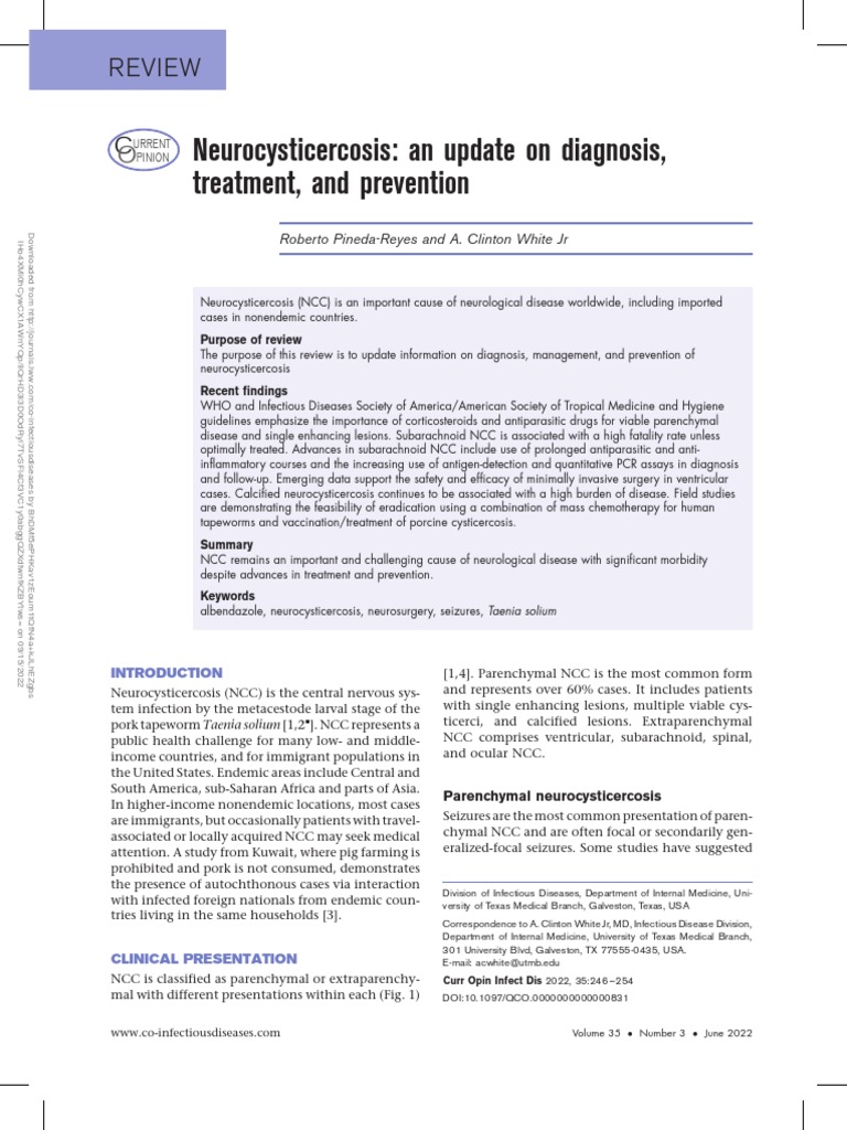 Neurocysticercosis An Update On Diagnosis,.10 | PDF | Medical Specialties | Health Care