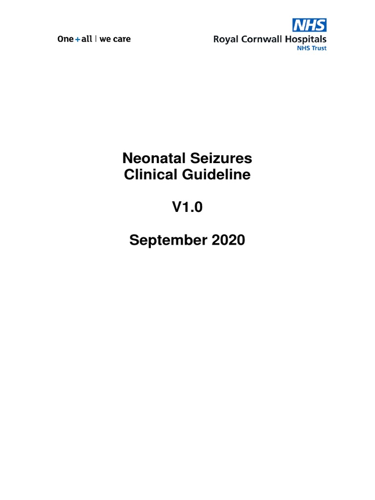 Neonatal Seizures Clinical Guideline V1.0: A Comprehensive Guide for ...