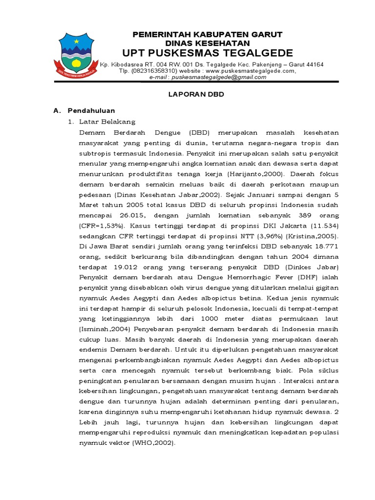 Laporan DBD | PDF
