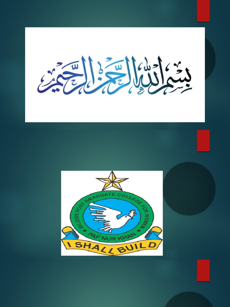 Final Presentation Pdf