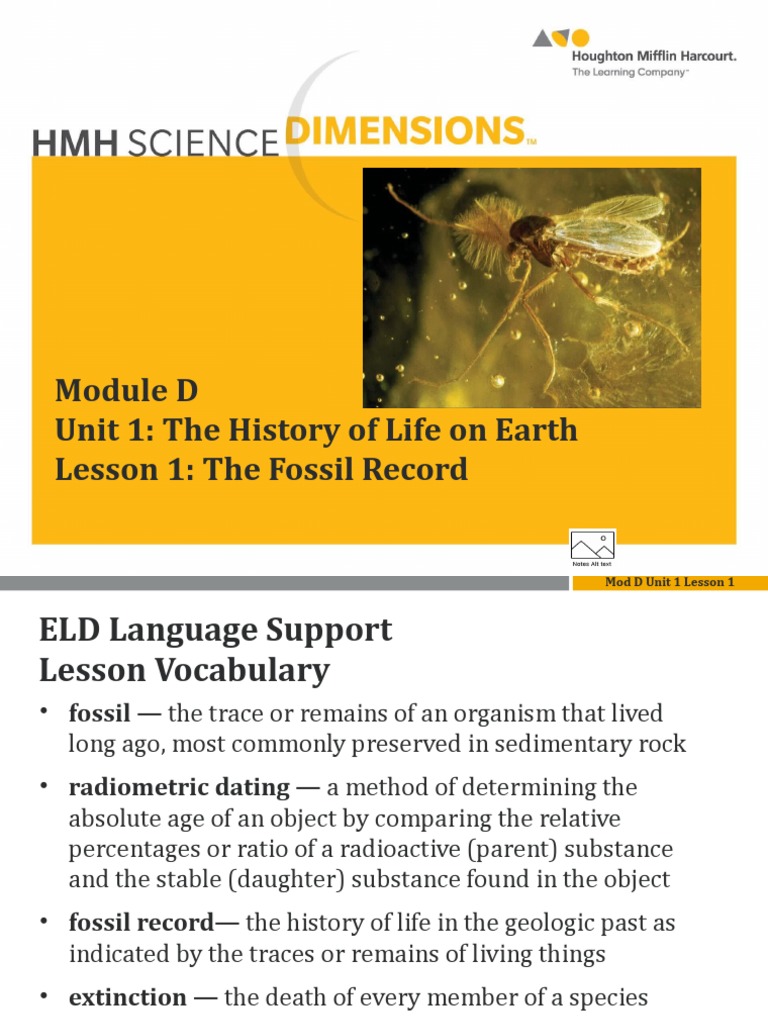HMHScienceDimensions ModD U1 L1 | PDF | Fossil | Radioactive Decay