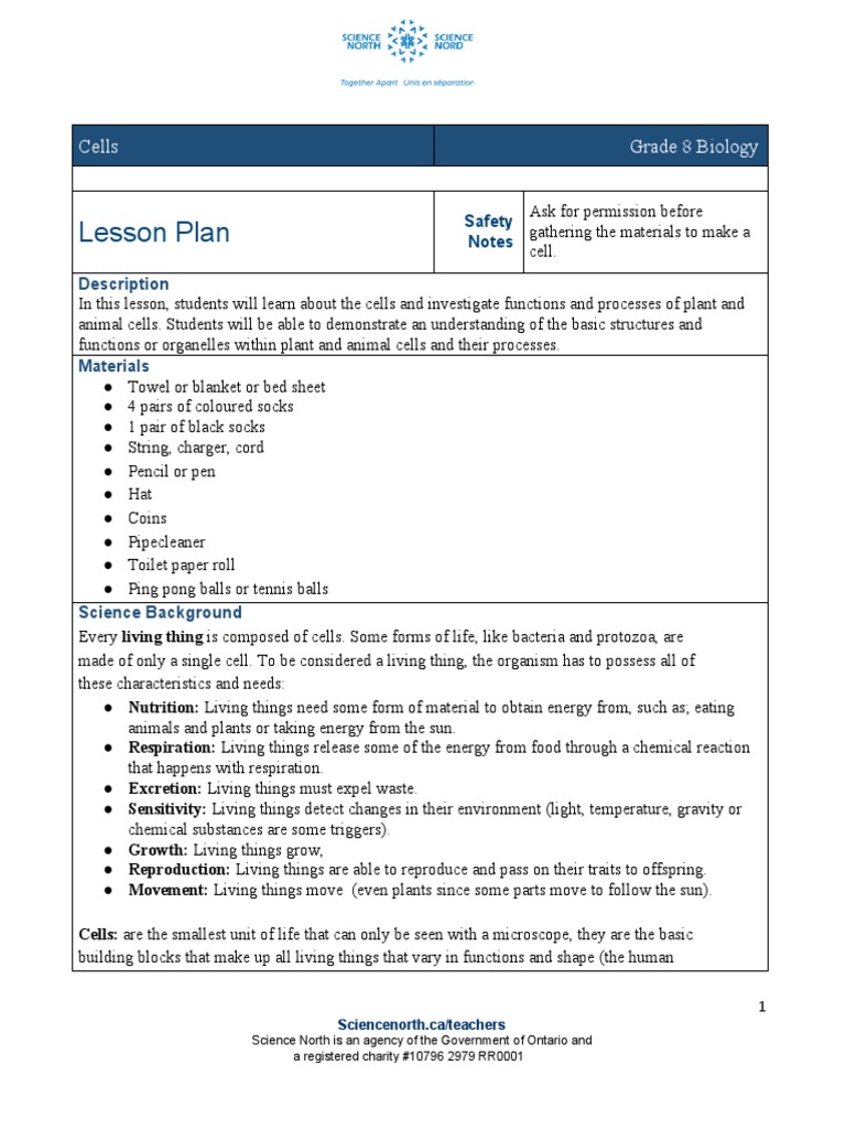 Grade 8 Biology: Plant and Animal Cells Lesson | PDF | Cell (Biology ...