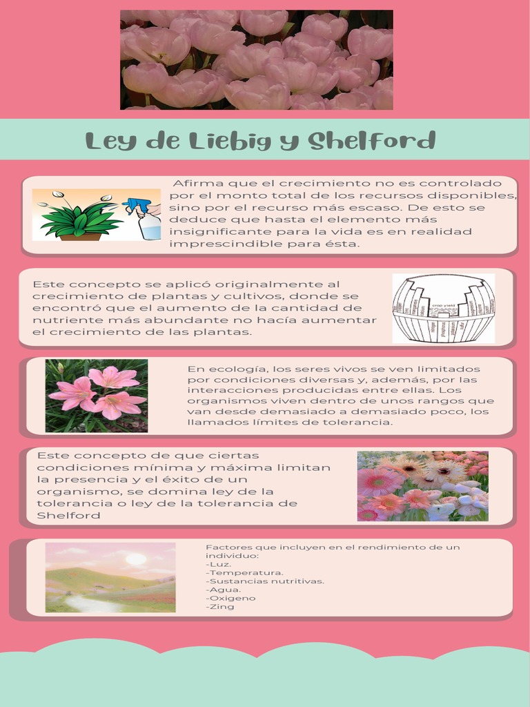 Ley de Liebig y Shelford | PDF