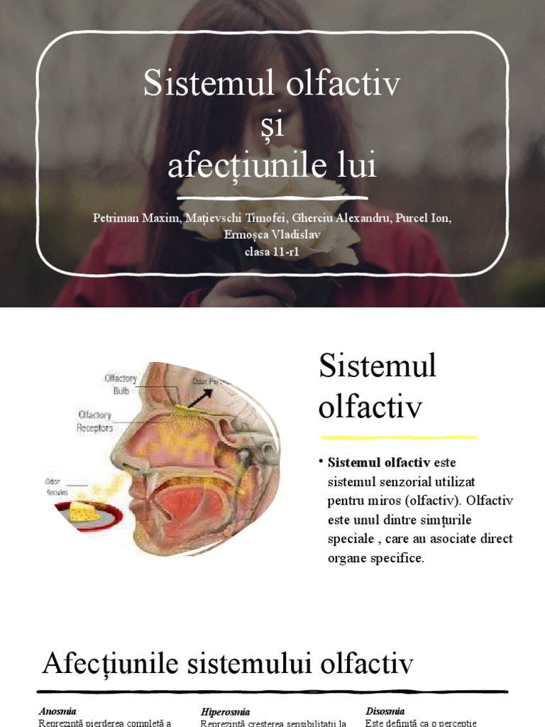 Sistemul Olfactiv Biologie | PDF