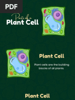 Plant Cell - Structure, Parts, Functions, Labeled Diagram | PDF | Cell ...