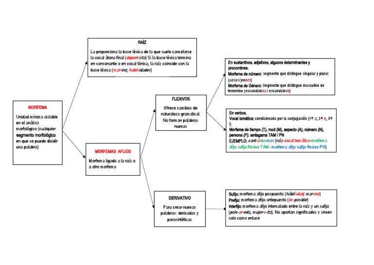 21-22 MORFOLOGÍA (Clases de Morfemas) | PDF | Palabra | Numero Gramatical