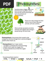 Brendan G Irvin - Amoeba Sisters Photosynthesis and Respiration Video ...