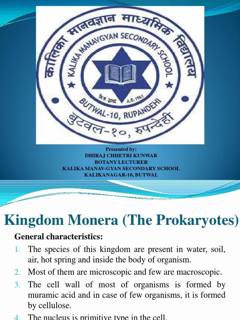 Class 11 Bacteria PDF | PDF | Bacteria | Cell (Biology)