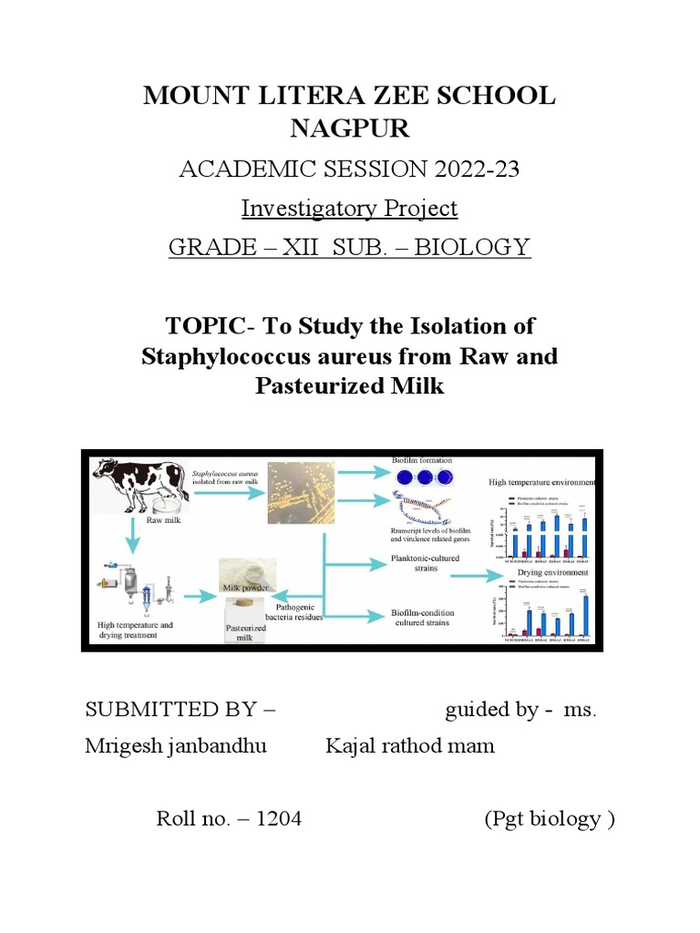Bio Project | PDF | Staphylococcus Aureus | Polymerase Chain Reaction
