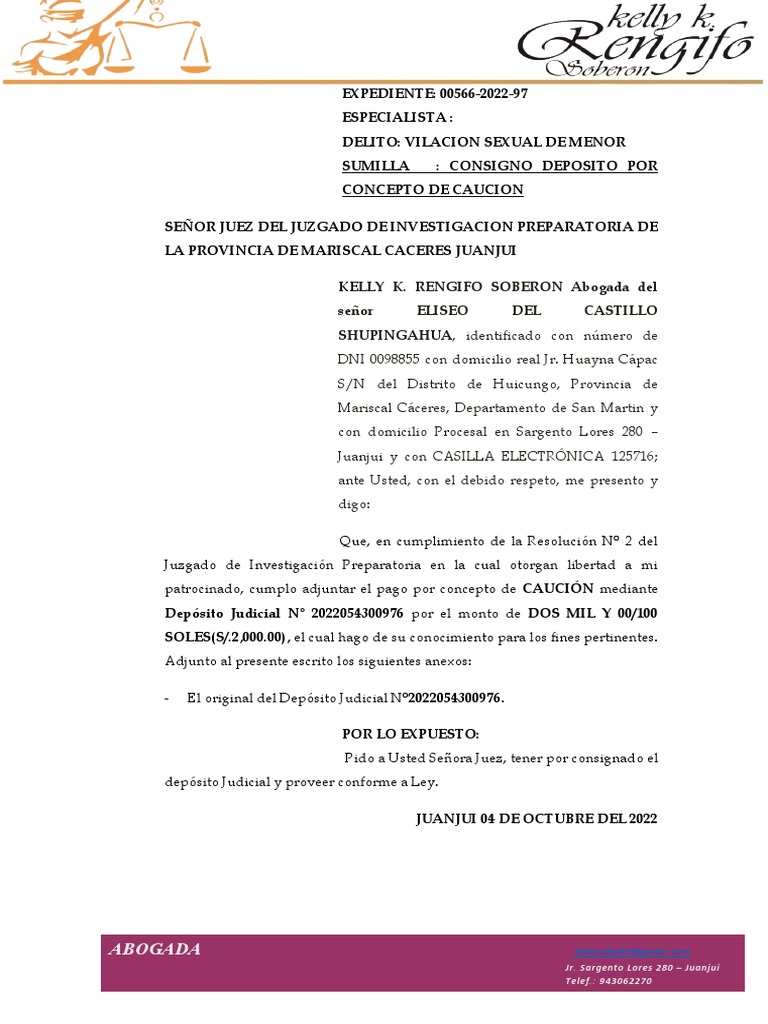 Pago Por Caucion | PDF