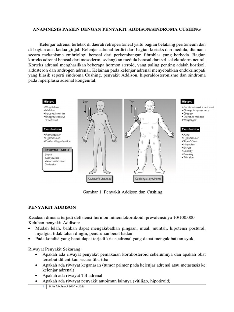 Anamnesis Penyakit Addison dan Cushing | PDF | Sains & Matematika