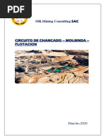 Cálculos Metalúrgicos | PDF | Minerales | Metalurgia