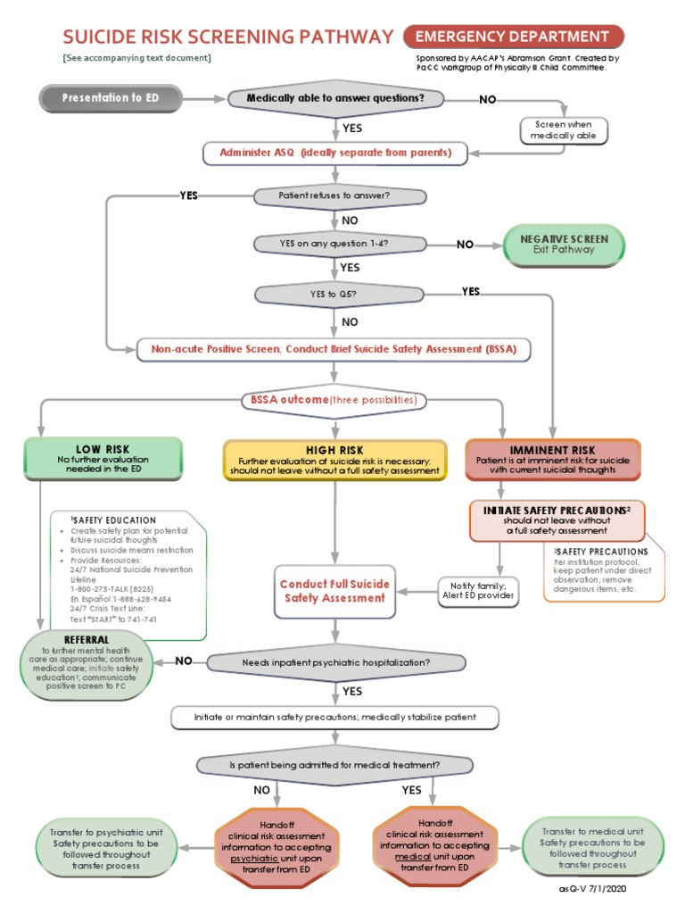 Suicide Risk Screening Pathway Ed Youth Asq Nimh Toolkit | PDF ...