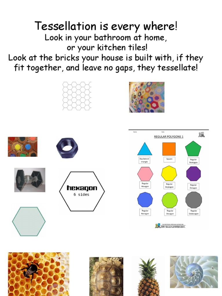 Tessellation Ppt. Maths | PDF