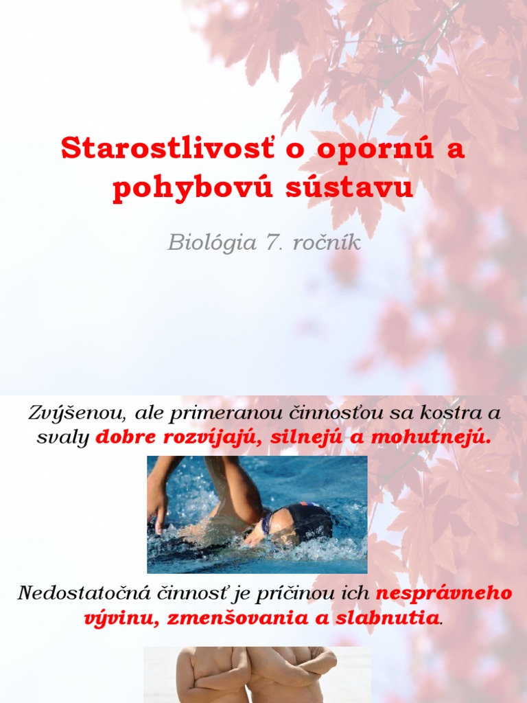 Opakovanie Zlomkov | PDF