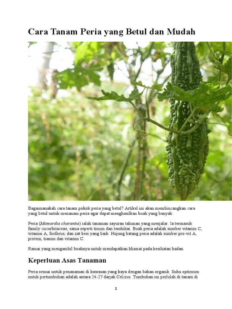 Cara Tanam Peria Yang Betul Dan Mudah | PDF