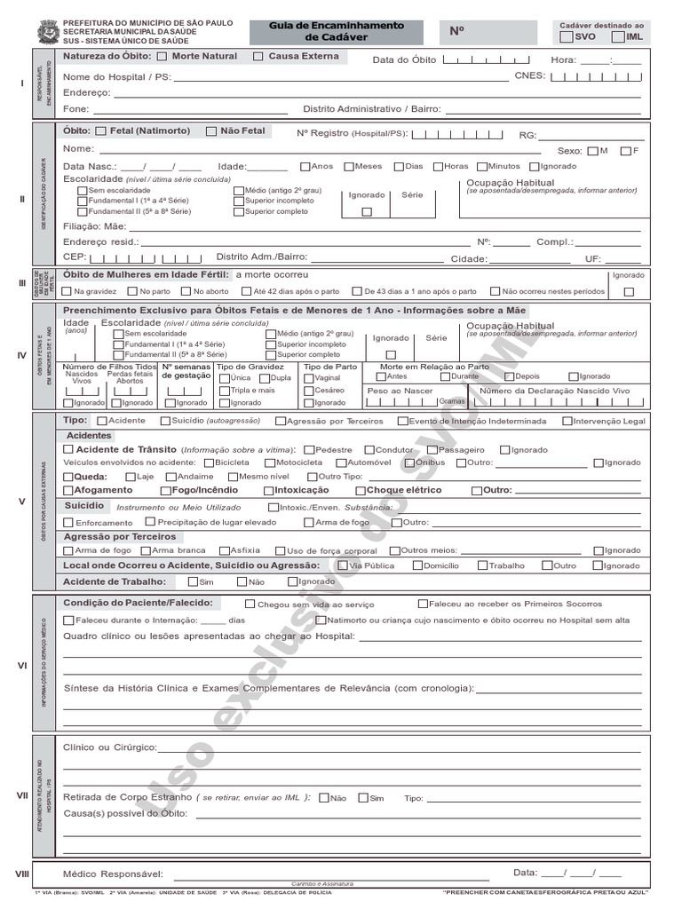 Guia Encam Cadaver 2013 | PDF | Gravidez | Parto