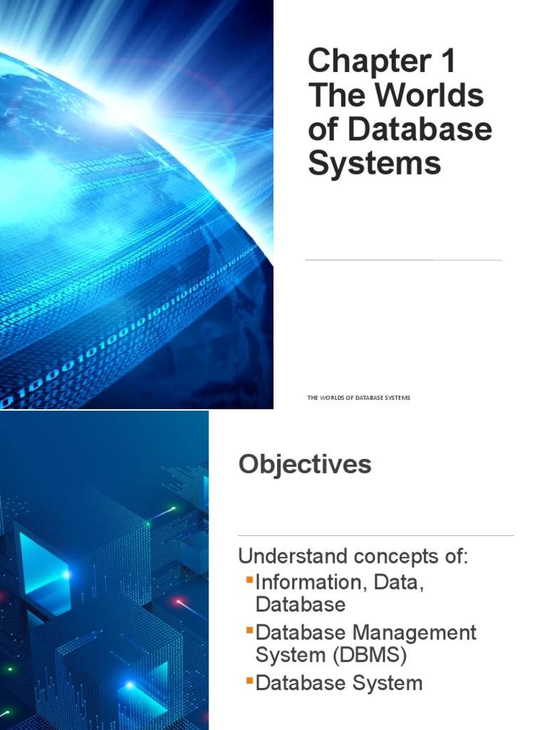 Chapter 1 - The Worlds of Database Systems | PDF | Databases | Relational Database