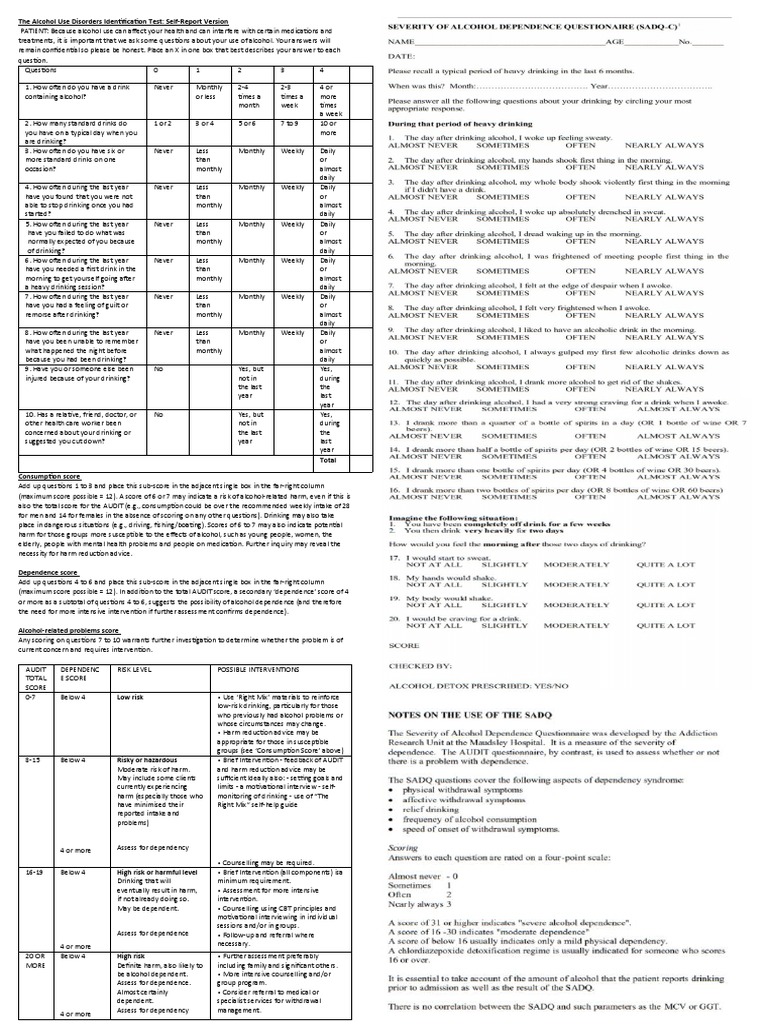 AUDIT Test Scores Reveal Alcohol Risk Levels | PDF | Alcoholism ...