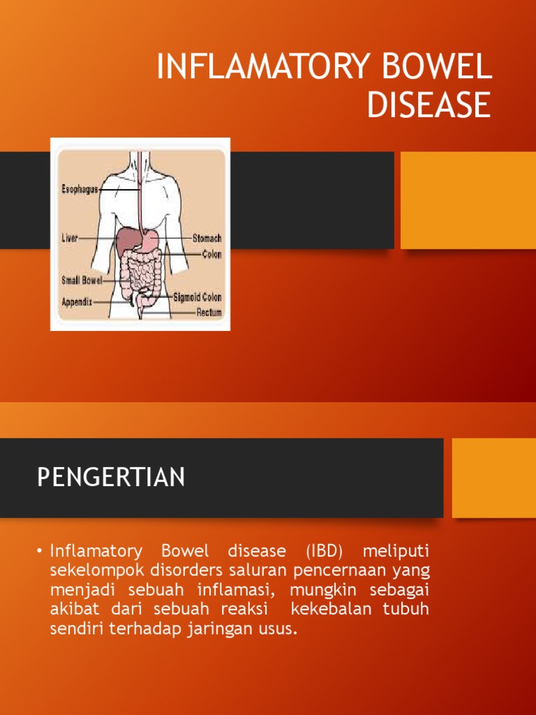 Diagnosa dan Terapi IBD | PDF