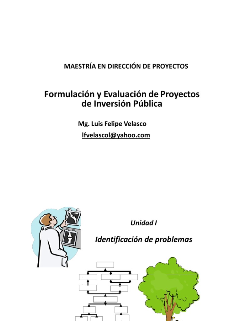Curso Formulacion y Evaluacion de Proyectos de Inversión Pública ... Curso Formulacion y Evaluacion de Proyectos de Inversión Pública ...