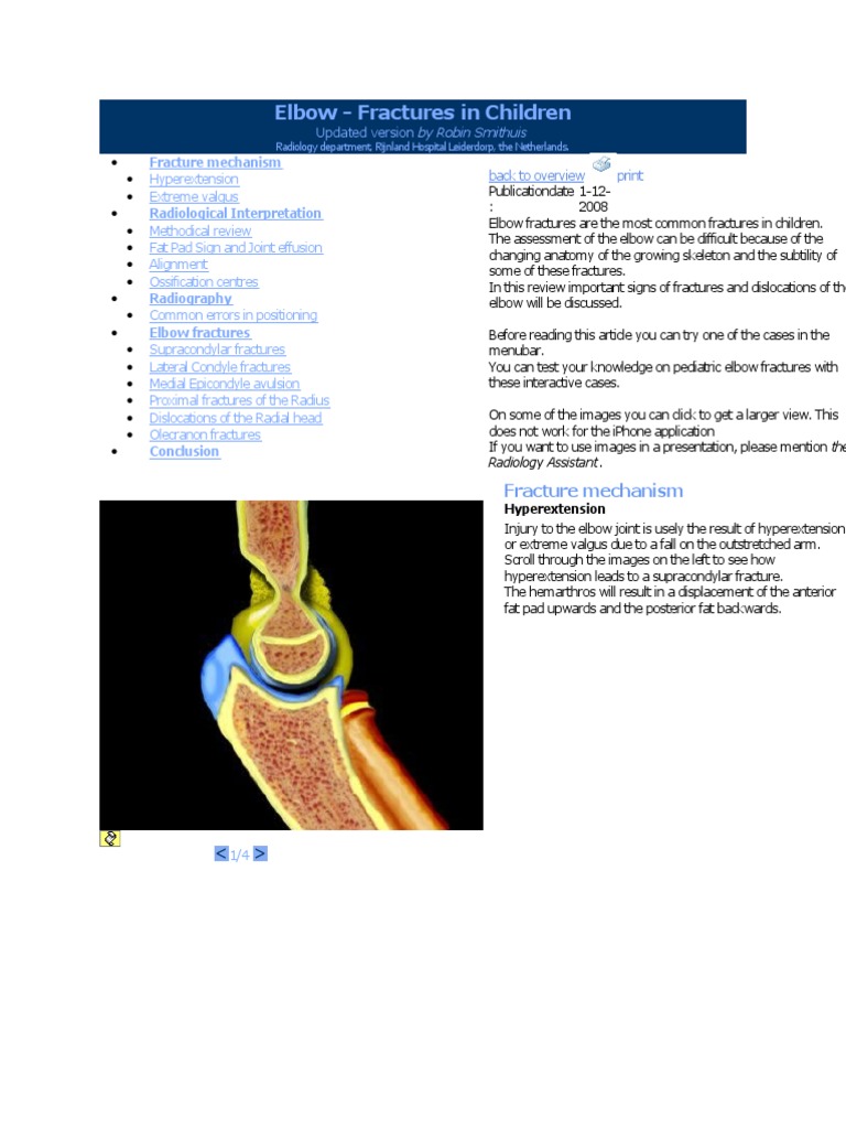 Elbow | Elbow | Anatomical Terms Of Location