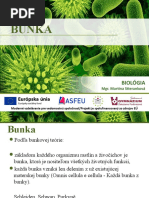 Základy-Histológie Heh | PDF