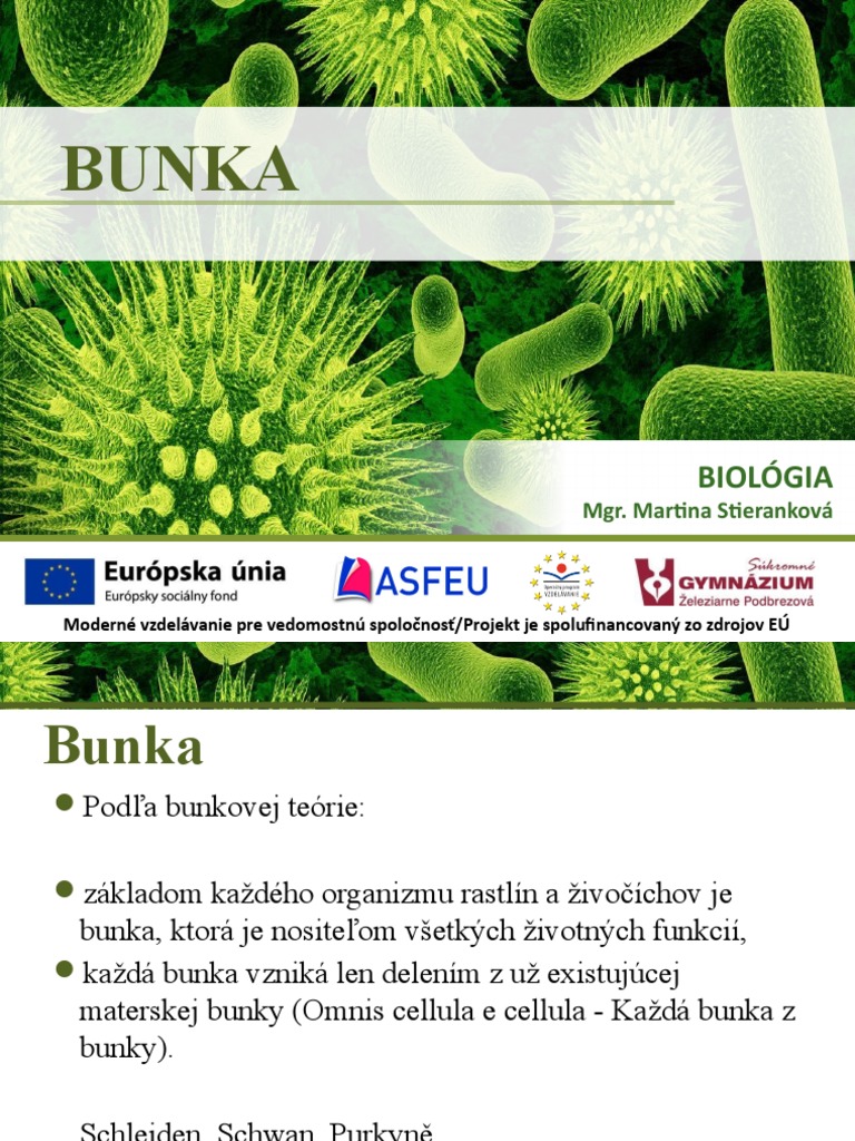 Bunka | PDF