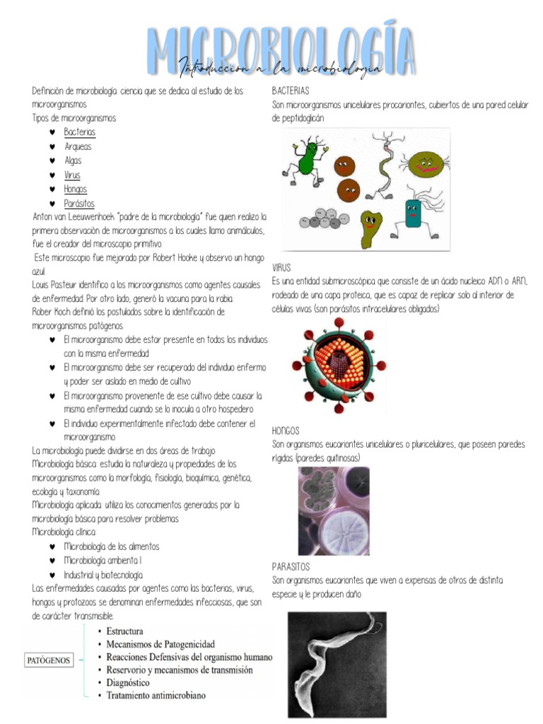 Resumen Microo - Removed | PDF | Microorganismo | Microbiología