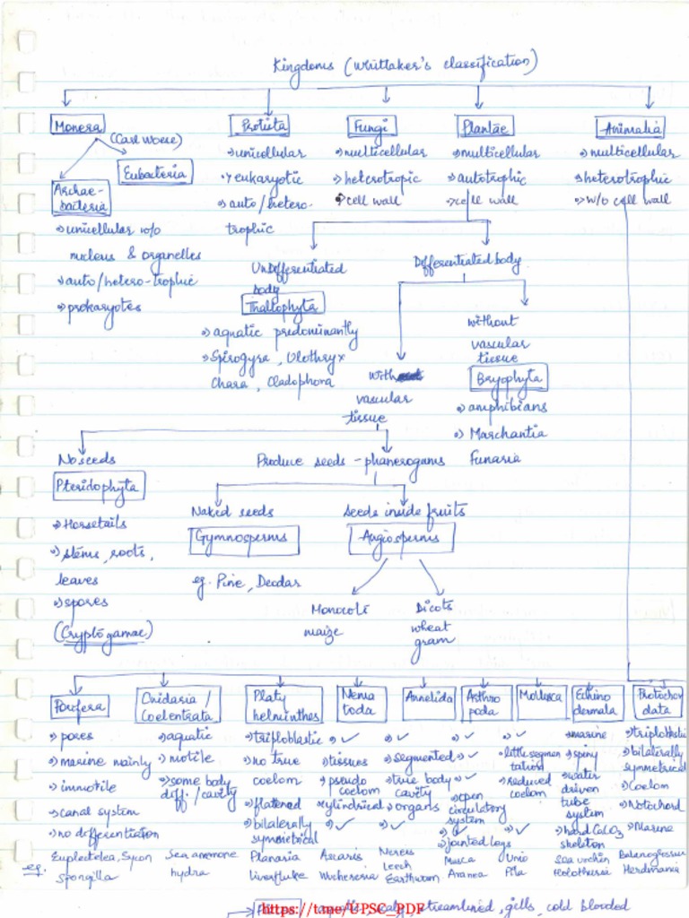 Zoology Notes Cell Bio | PDF