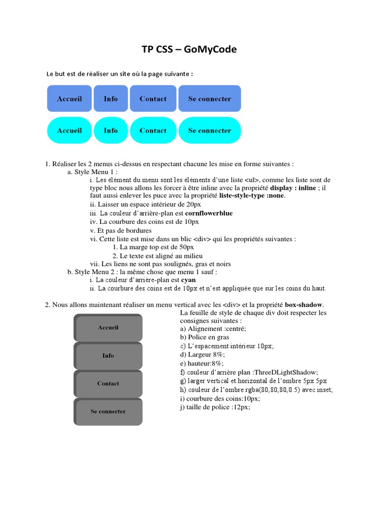TP CSS Entraînement | PDF