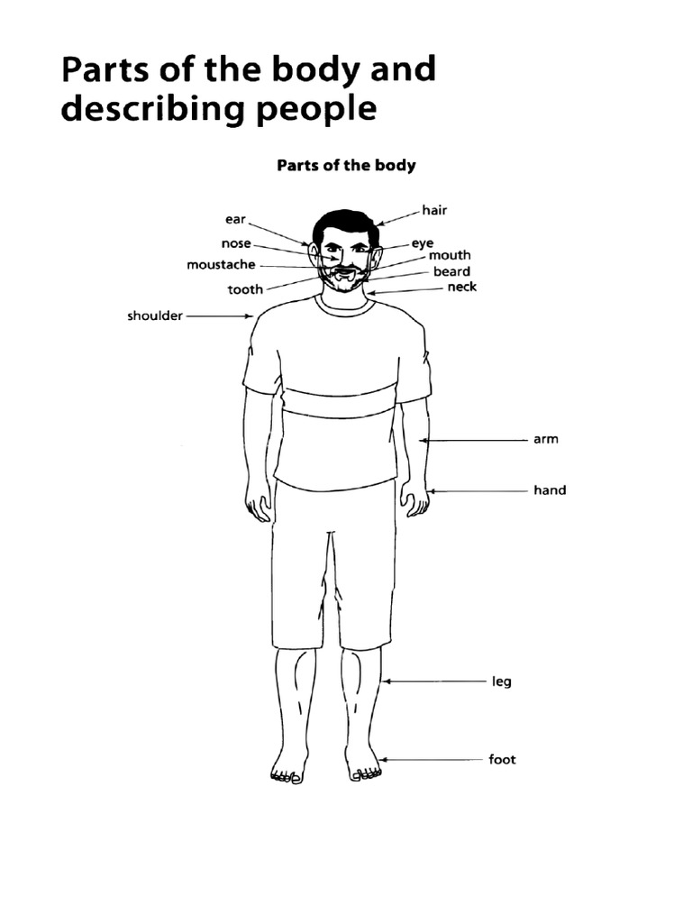 Opis Osoby I Części Ciała | PDF