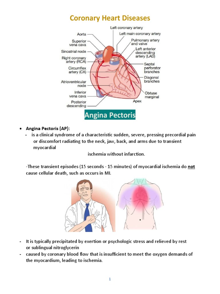 Understanding Angina Pectoris | PDF | Coronary Artery Disease | Coronary Circulation