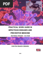 Protocolo Mastitis ABM 2022 | PDF | Breast Milk | Clinical Medicine