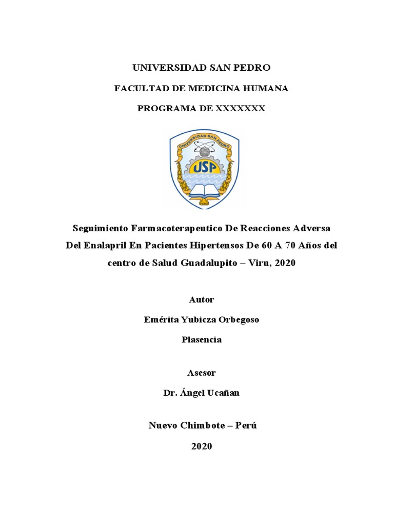 Modelo de Proyecto | PDF